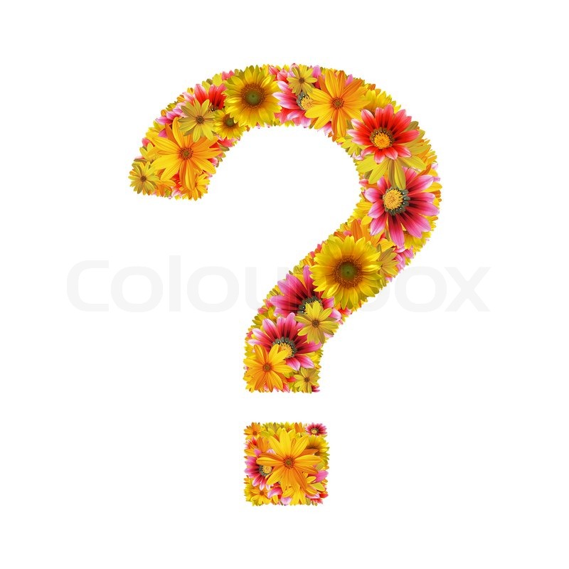 Question mark created of flowers ... | Stock image | Colourbox