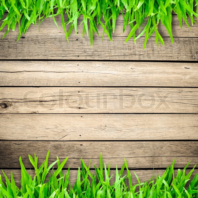 Green grass on wooden board and ... | Stock image | Colourbox