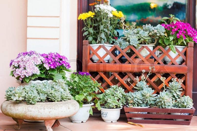 Building facade with lot of flower pots | Stock Photo | Colourbox