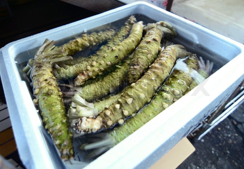 Wasabi Root