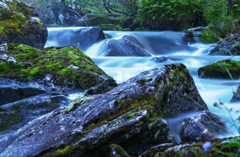 Bach im Wald | Stock Bild | Colourbox