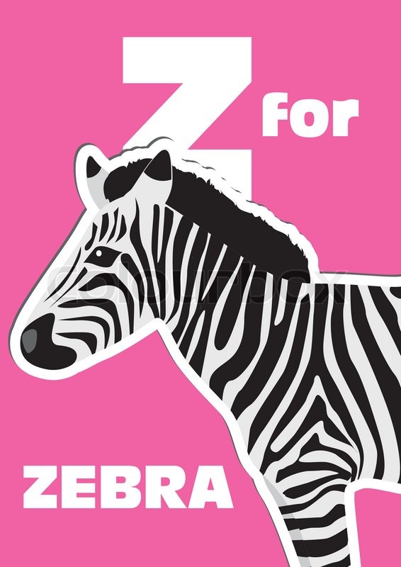 "Z for the Zebra, an animal alphabet ... | Stock vector | Colourbox