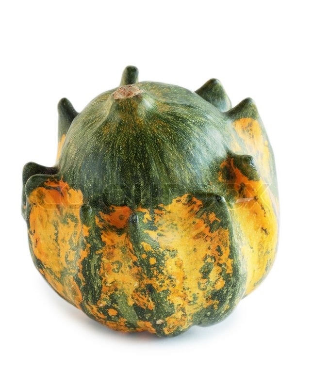 Green squash isolated on a white ... | Stock image | Colourbox