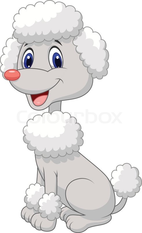 "süße Pudel-Cartoon" | Stock-Vektor | Colourbox