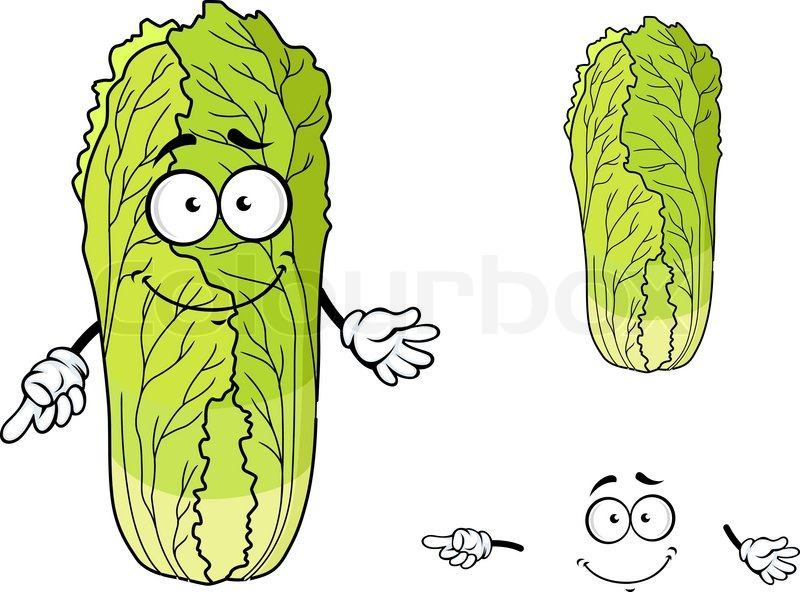 Gesunden grünen Cartoon Chinakohl ... | Stock-Vektor | Colourbox