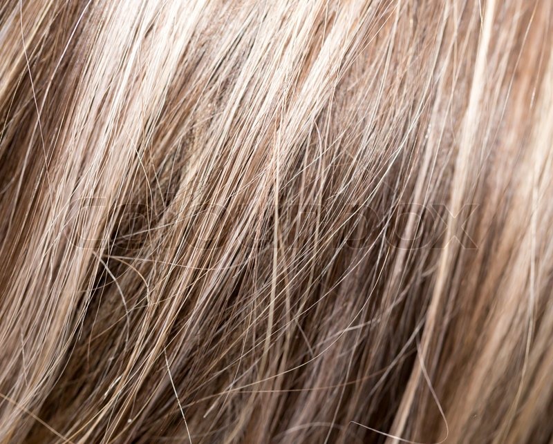 Women's hair. macro | Stock image | Colourbox
