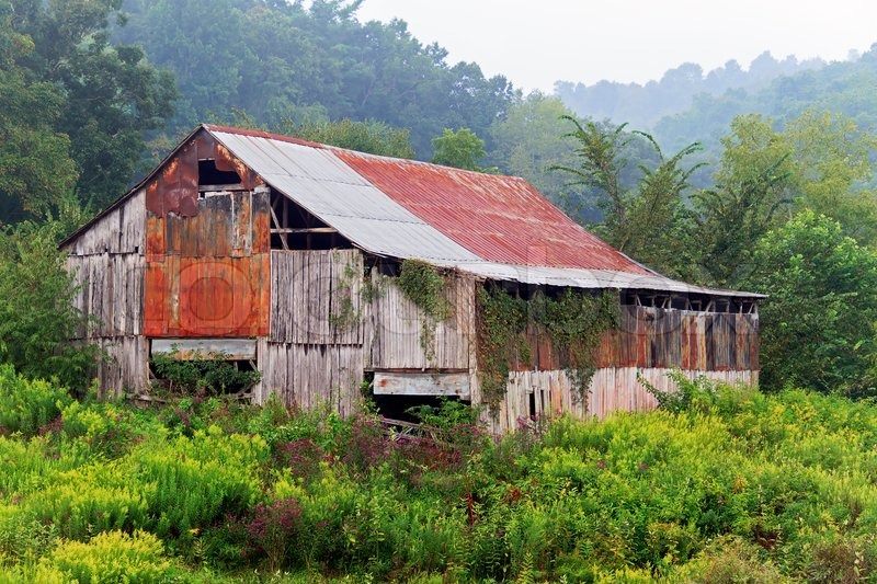 An old dilapidated barn stands among ... | Stock image | Colourbox