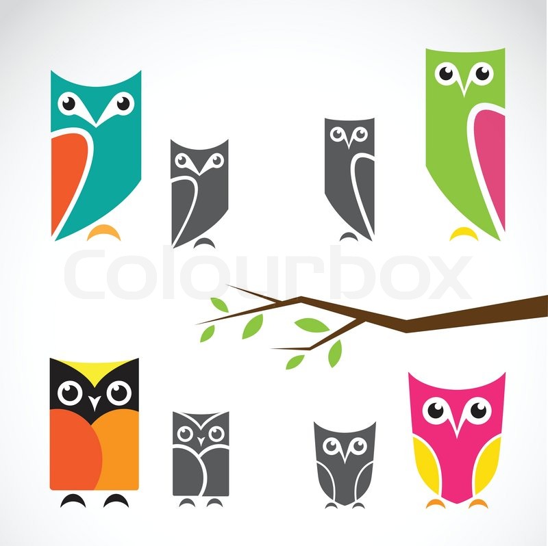 Vector Gruppe der Eulen und ... | Stock-Vektor | Colourbox