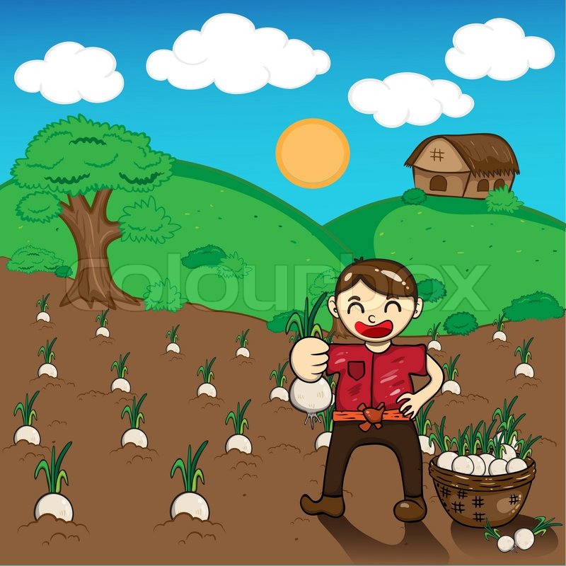 Farm Crops Cartoon