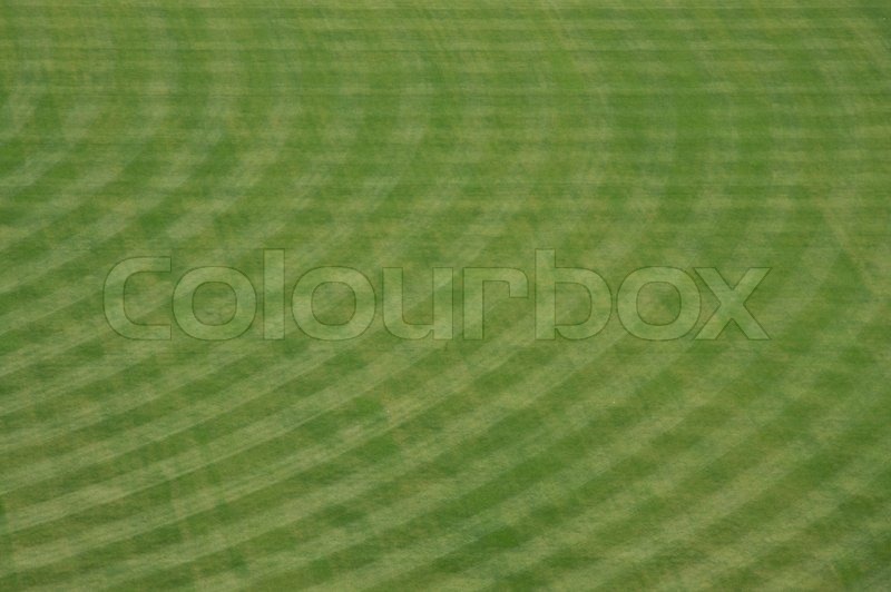 View of Petco Park Stadium Outfield ... | Stock image | Colourbox