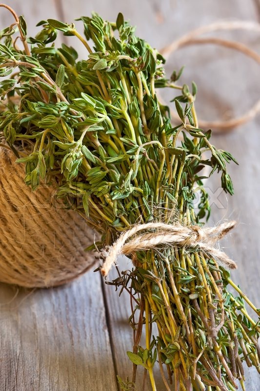 Thymian | Stock Bild | Colourbox