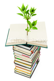 Stack of books and green plant isolated on white background | Stock ...